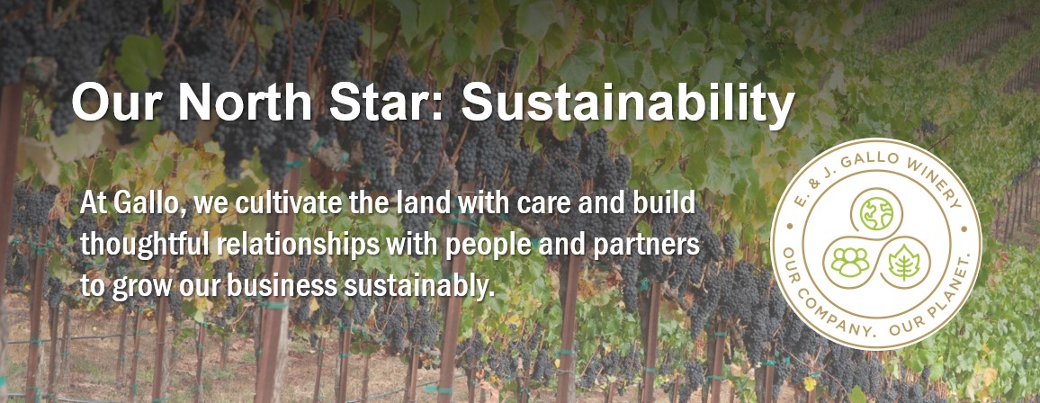 E. & J. GALLO WINERY CONTINUES THEIR LEADERSHIP AND INNOVATION IN ...